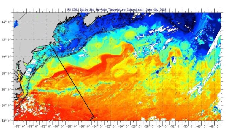 Daily Composite Satellite SST Image June 9 - Newport Bermuda Race