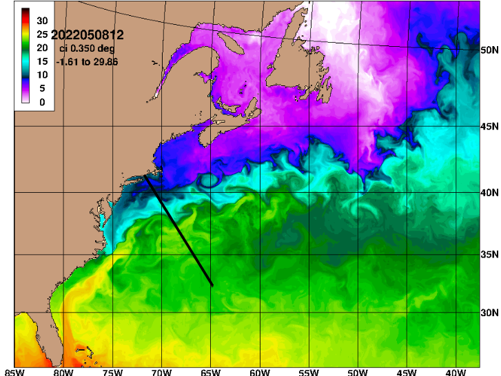 2022 Gulf Stream Analysis, One Month to Go - Newport Bermuda Race